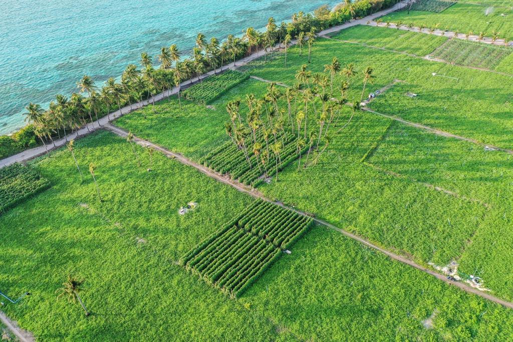 Russia-Ukraine Conflict Impacts Thoddoo Guesthouse Occupancies ...