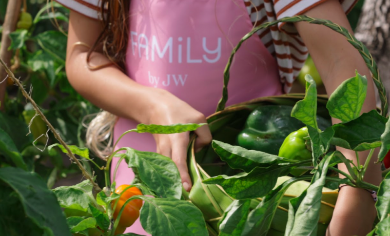 A Day in the Life of the Herb Gardeners at JW Marriott Maldives ...