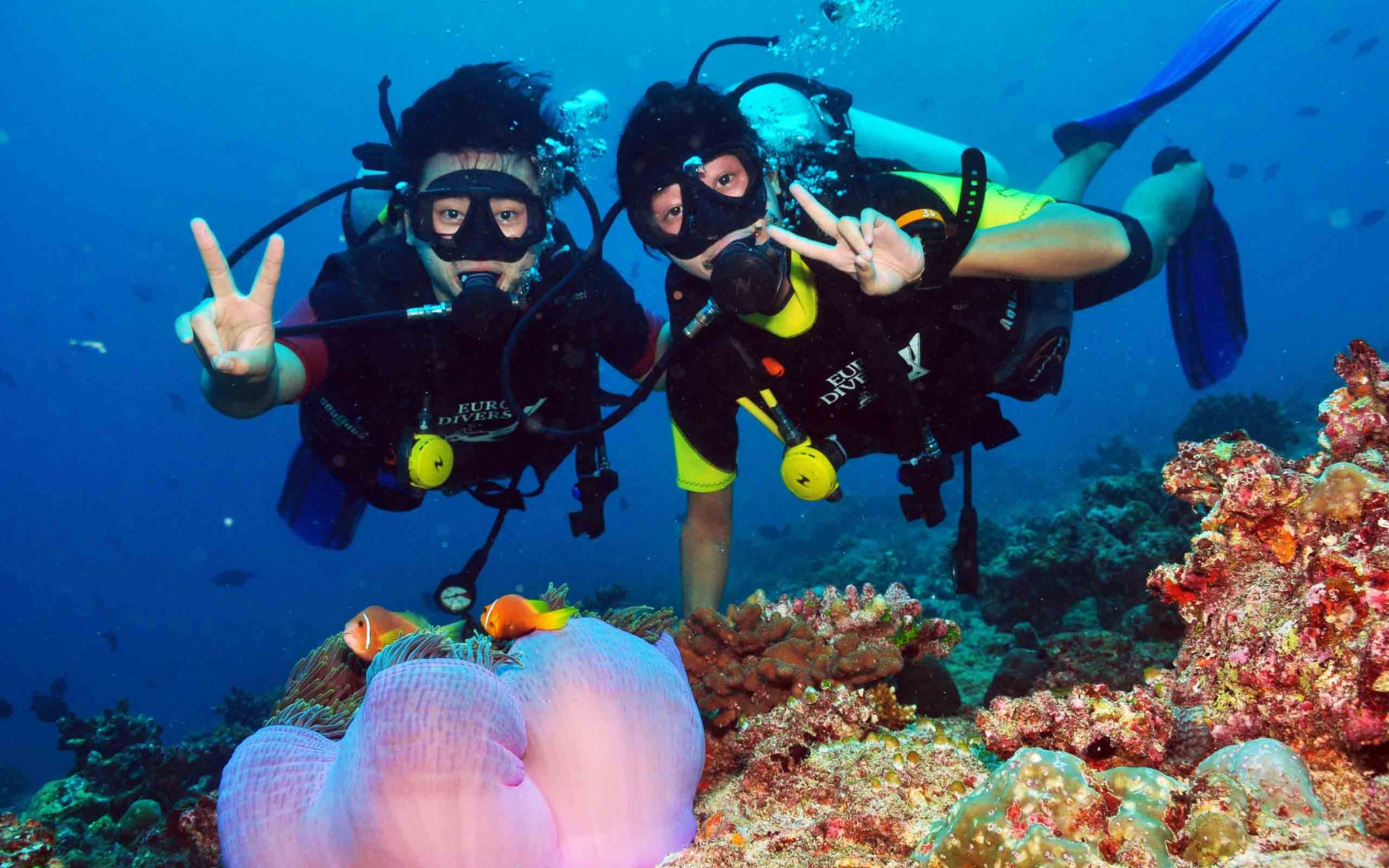 Kandooma Maldives offers free scuba diving for guests – Hotelier Maldives