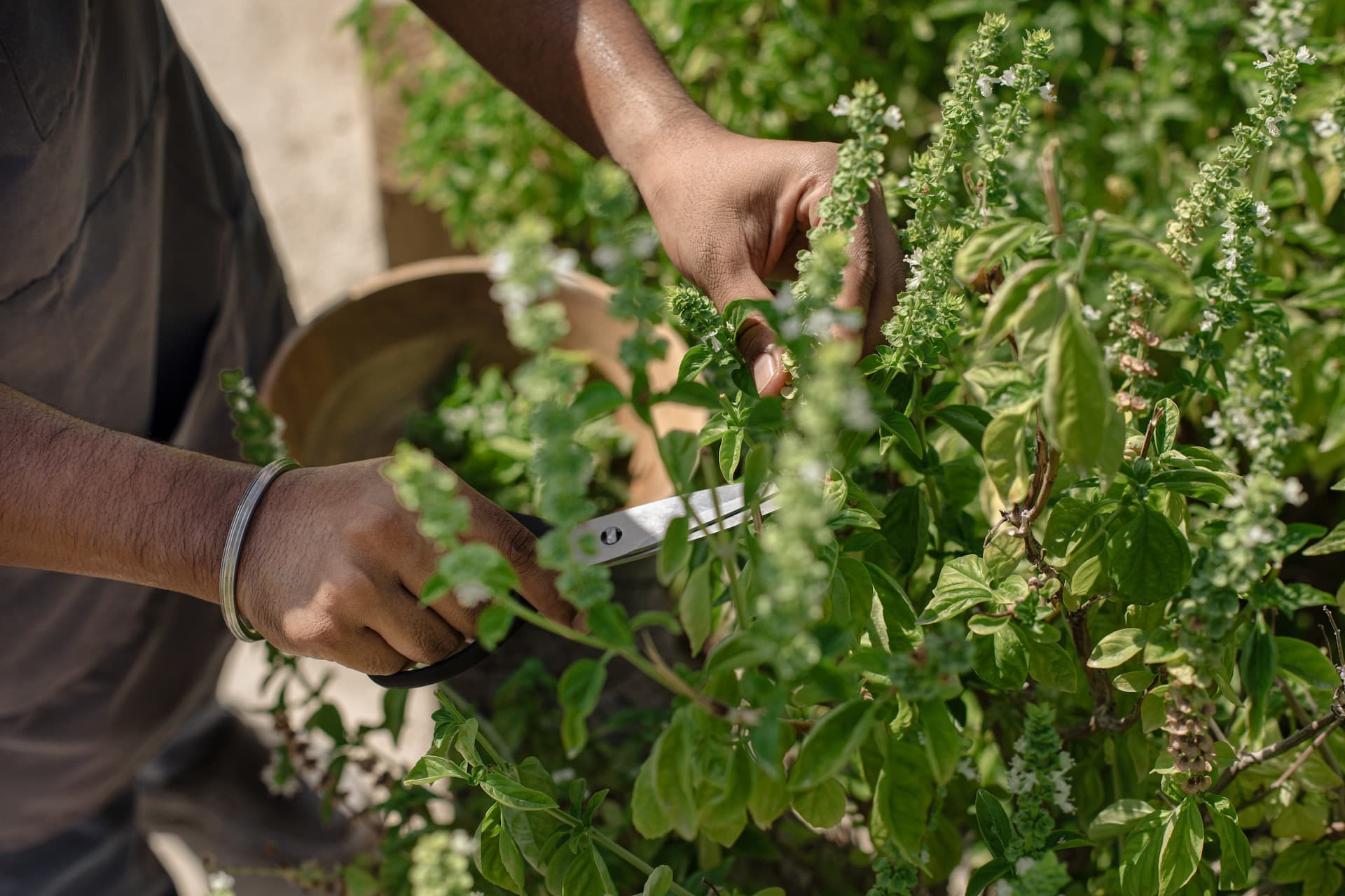 EarthCheck Silver Certification for Patina Maldives – Hotelier Maldives