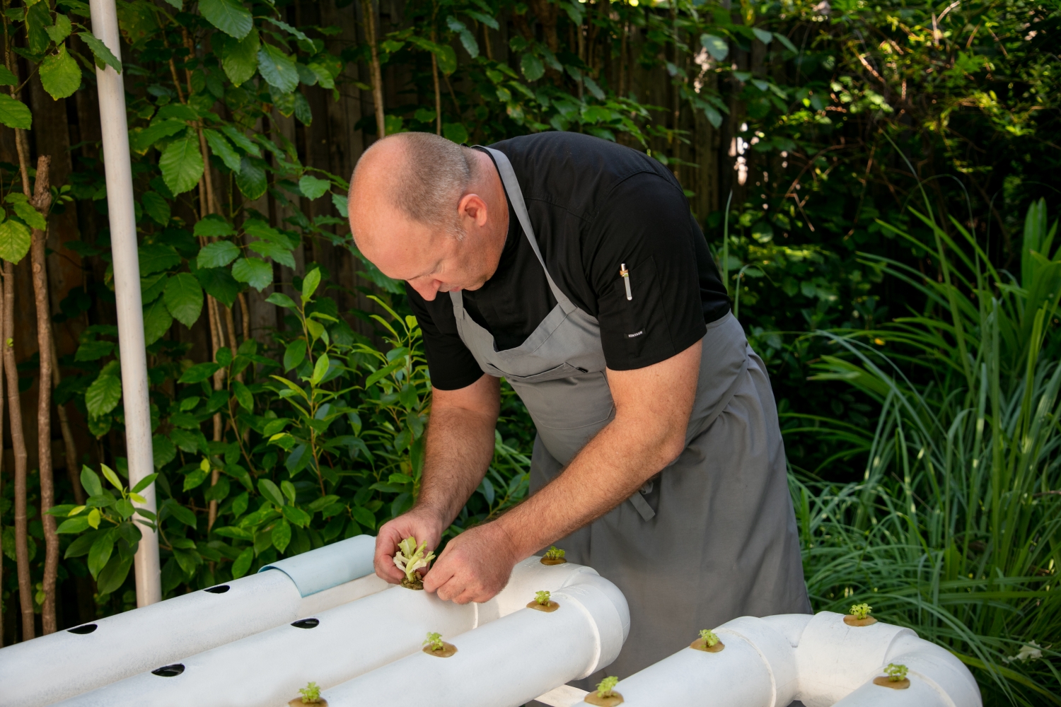 Eco-Licious: Conrad Maldives Rangali Island’s new culinary journey with ...