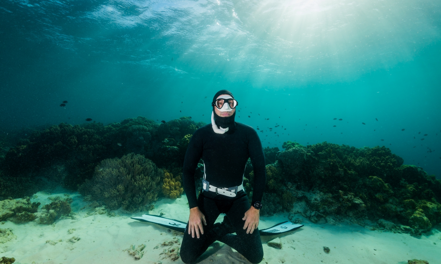 The Westin Maldives to host world record freediver Christian Redl ...