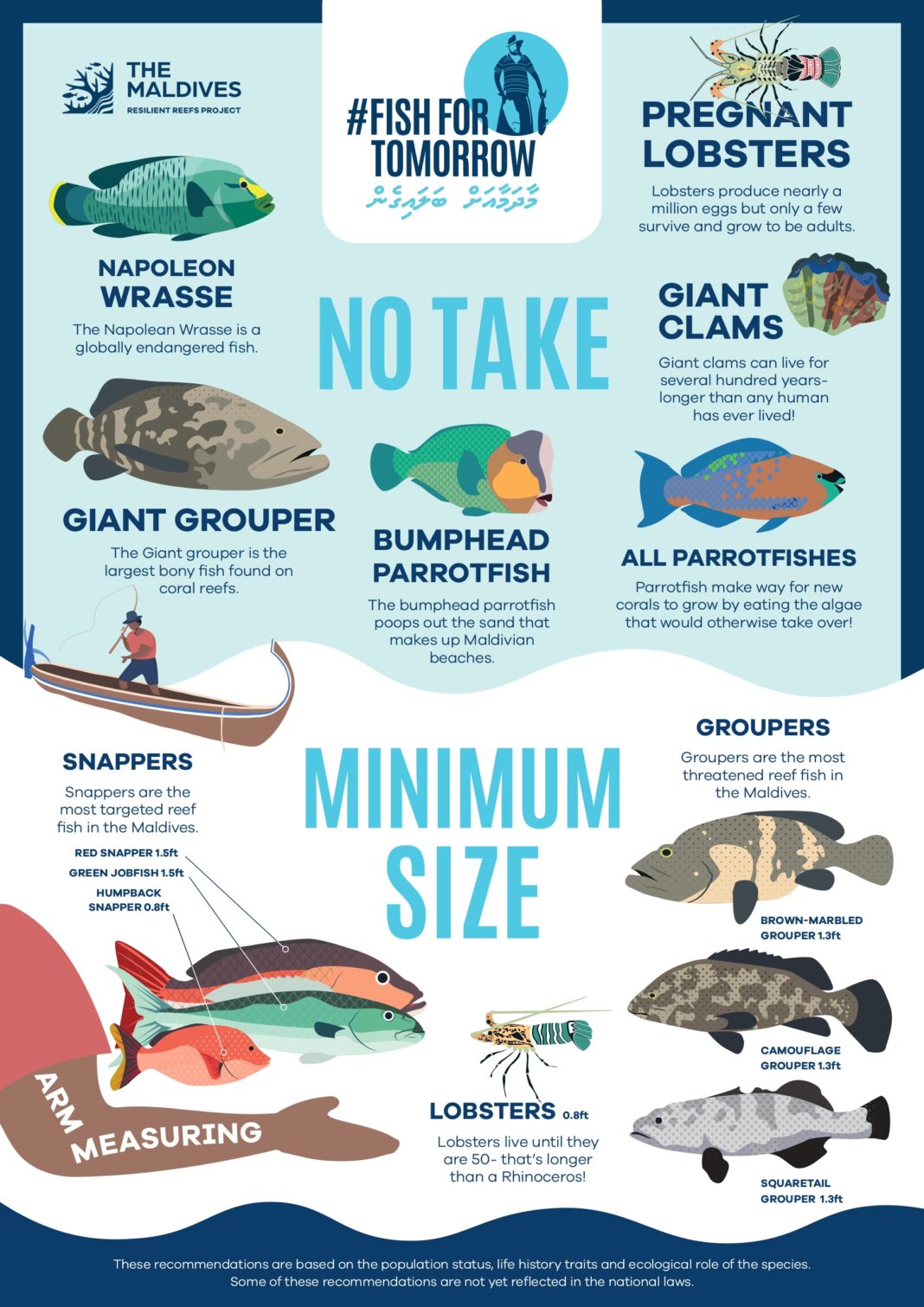 Maldives Resilient Reefs Project launches new campaign – Hotelier Maldives