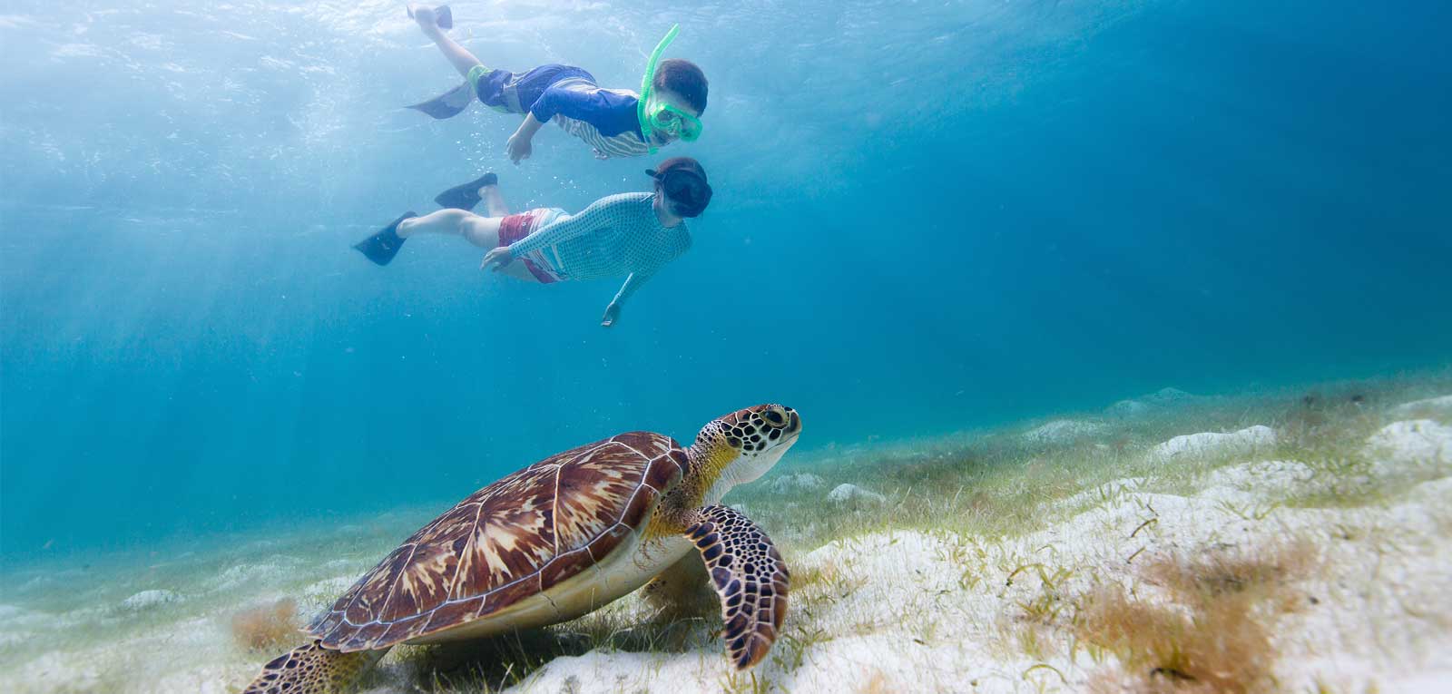 Lagoon and reef cleaning in Kuredu to mark environment and ocean’s day ...