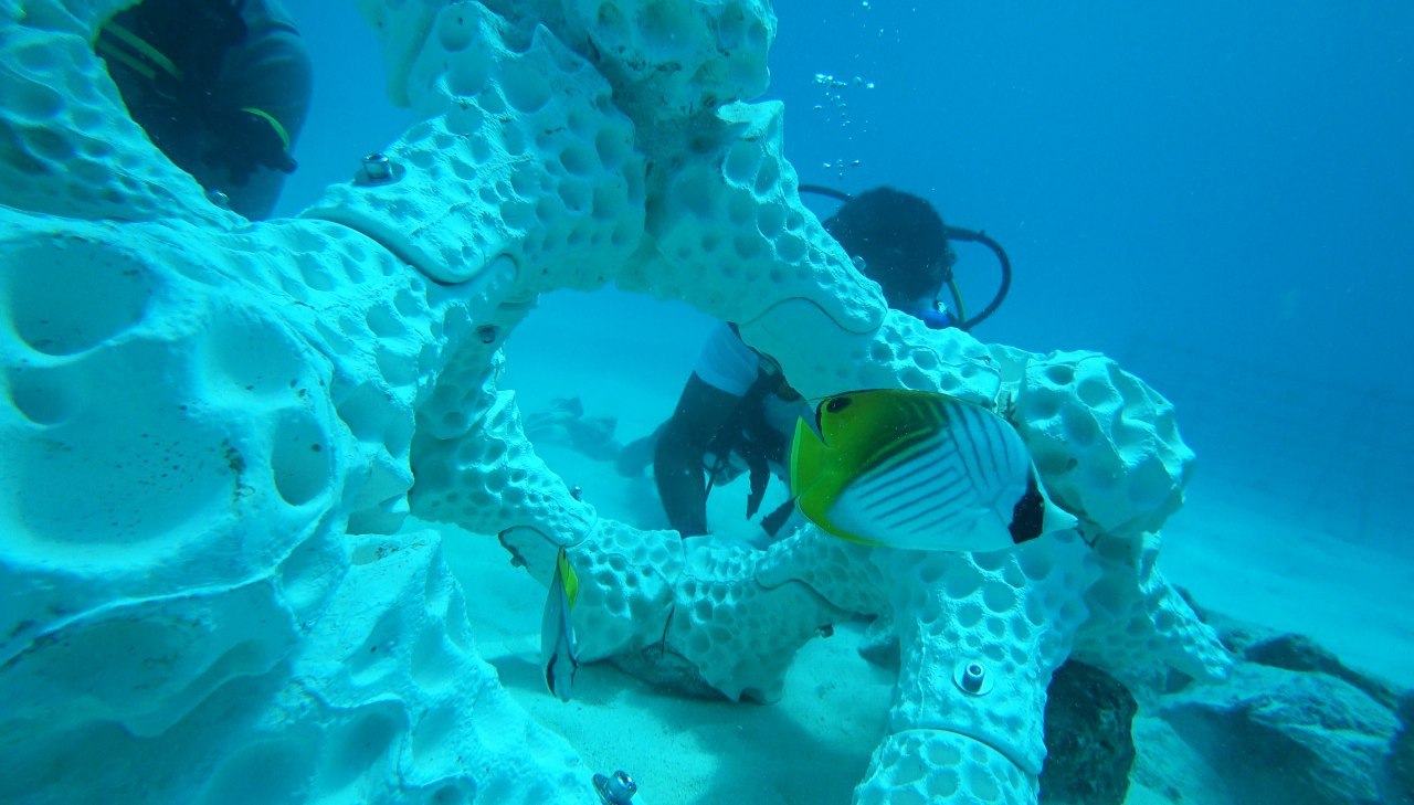 Summer Island introduces 3D-printed artificial reef for coral protection