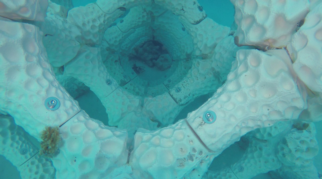 Summer Island introduces 3D-printed artificial reef for coral protection